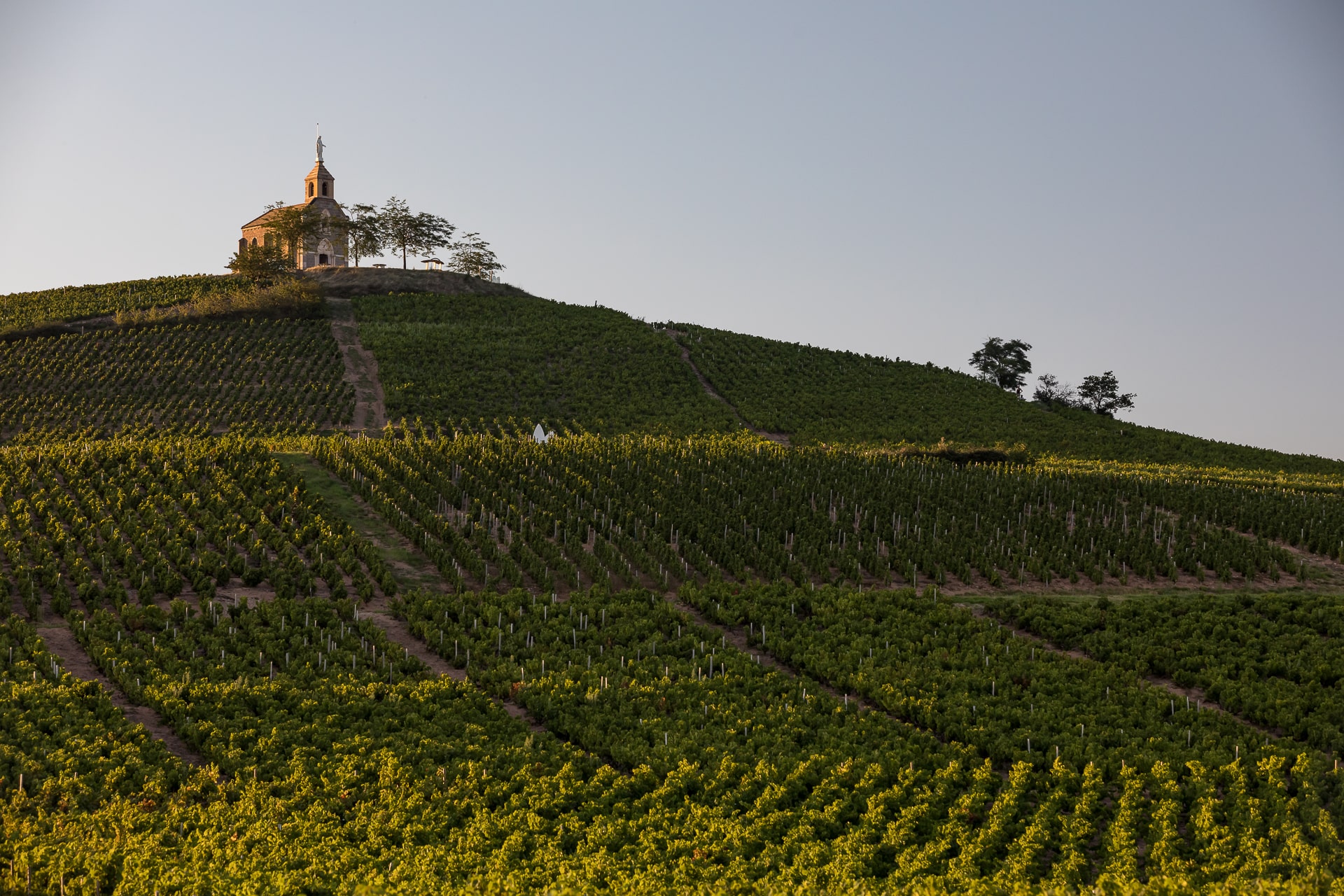 Fleurie - Beaujolais