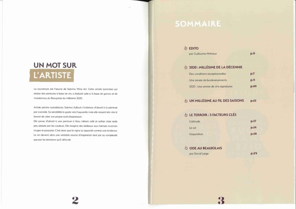 2020 vintage report book - Beaujolais